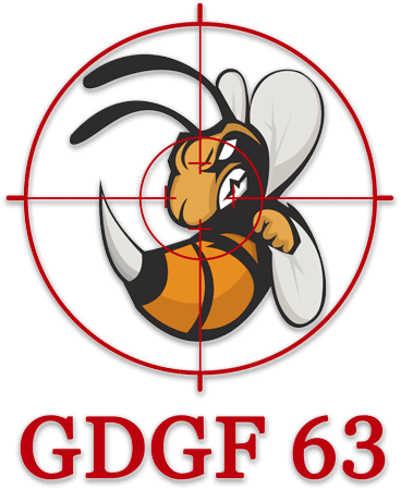 GDGF 63 à Mareugheol | Désinsectisation et destruction nid de frelon et ...